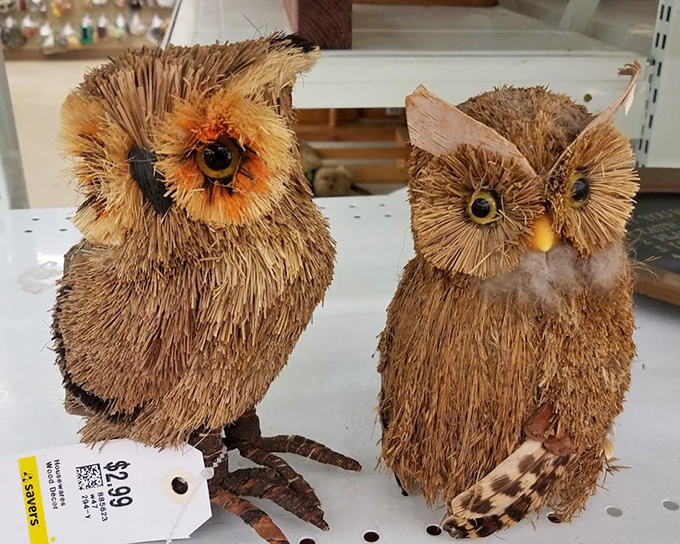 These adorable owl figurines are proof that someone's quirky decor could become your new favorite conversation starter.