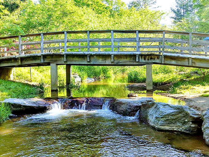 A wooden footbridge spans gentle waters in Banner Elk, creating one of those perfect postcard moments where time seems to slow just for your enjoyment.