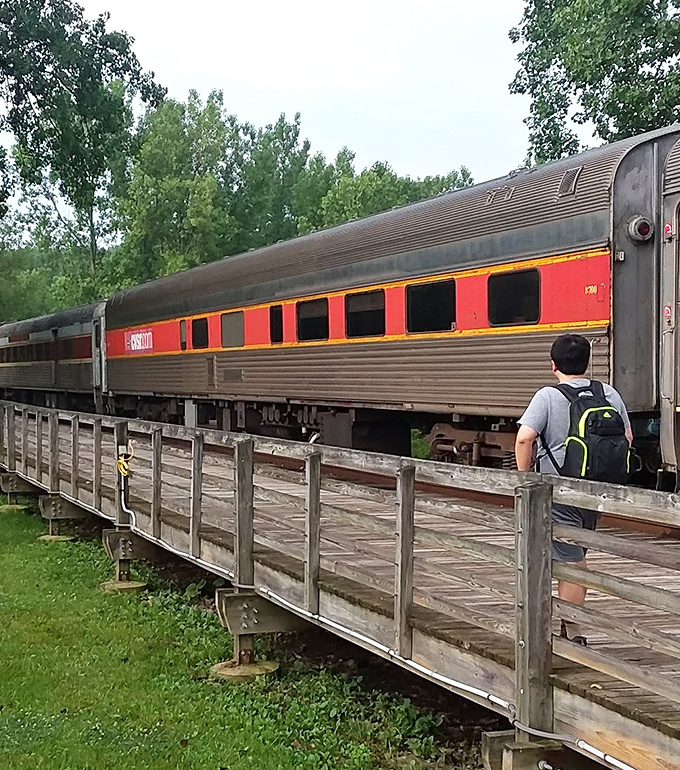 Through bare branches, the Cuyahoga reveals its serpentine beauty. Like finding an unexpected twenty in last year's coat pocket—Ohio surprises you.