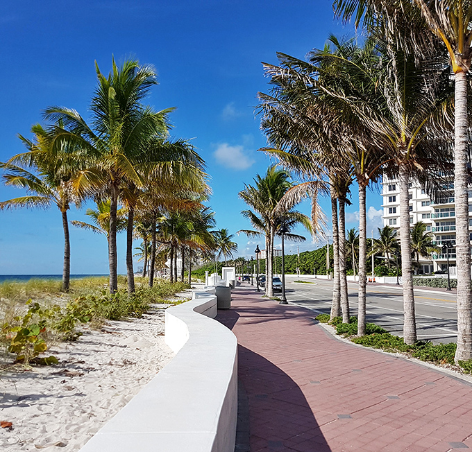 Paradise found: the palm-lined walkway along A1A offers beachgoers a civilized approach to Fort Lauderdale's famous shoreline.