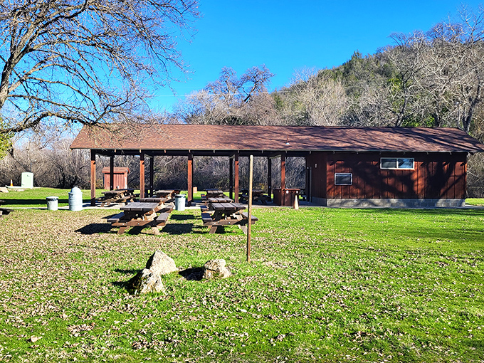 This humble pavilion has hosted more memorable family meals than most five-star restaurants &ndash; picnic tables with million-dollar views.
