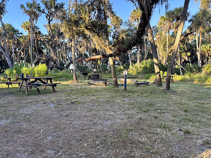 Picnic tables nestled under Spanish moss-draped oaks&mdash;because sandwiches always taste better when served with a side of dappled sunlight and birdsong.