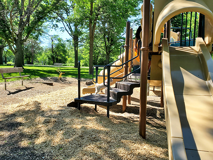 Childhood joy meets towering trees. This playground isn't just for kids&mdash;it's for anyone who remembers the simple thrill of sliding into happiness.