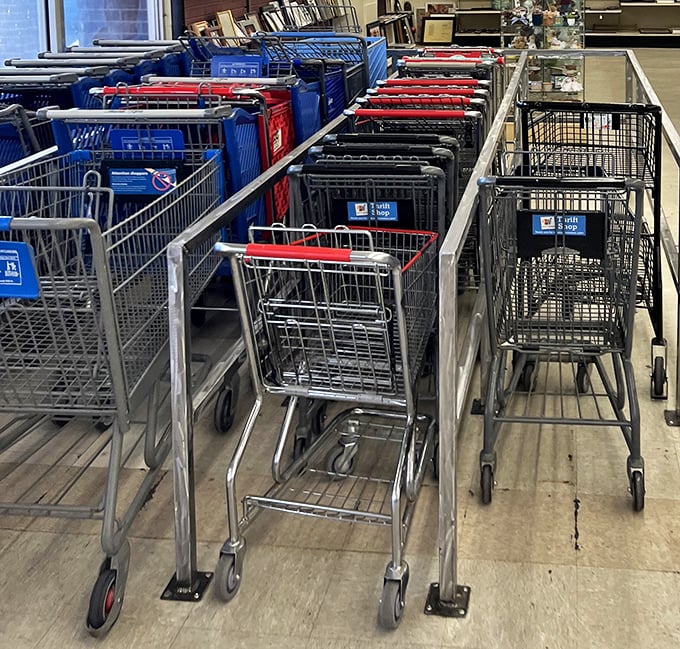 Shopping carts lined up like soldiers, ready for the thrill of the hunt. Each one waiting to be filled with unexpected treasures.