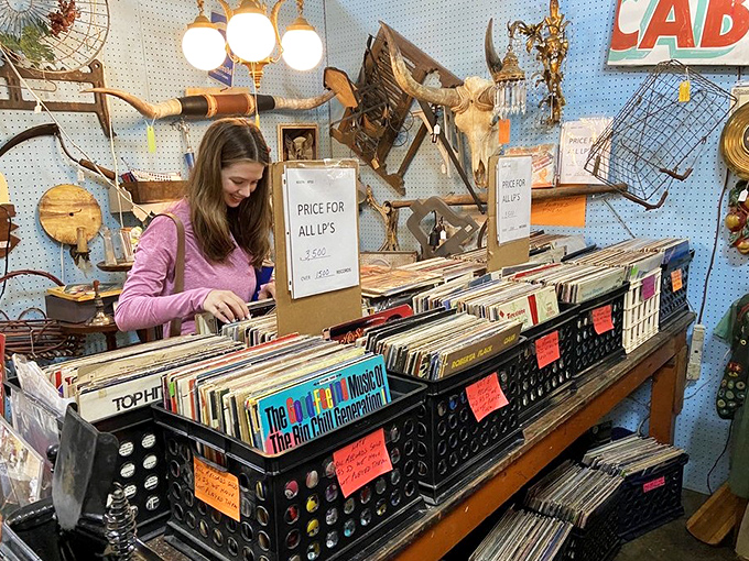 Vinyl heaven awaits music lovers who understand that album art and liner notes are as essential to the experience as the music itself.