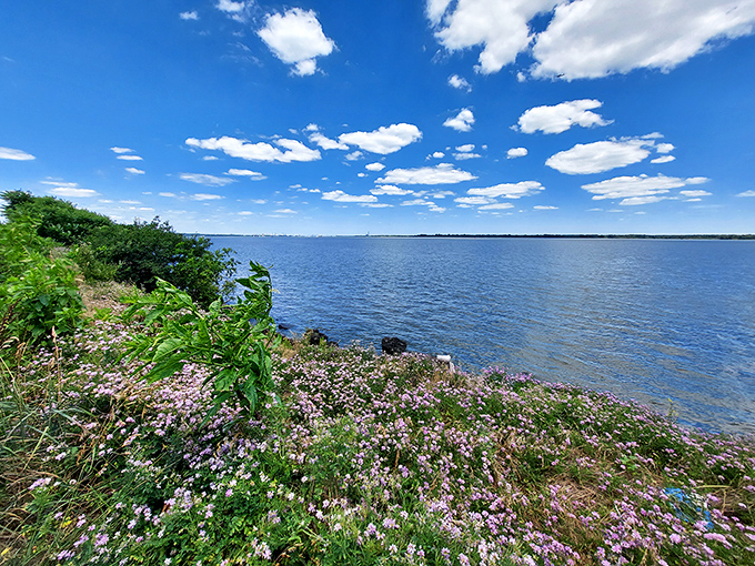 Nature's big-screen experience: cargo ships passing by as clouds perform their daily ballet. Better than any streaming service, and no monthly subscription required.