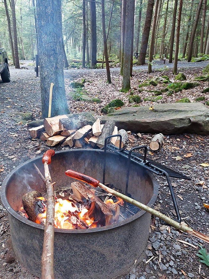 Campfire cooking at its most primal: nothing tastes better than food prepared over flames while surrounded by centuries-old trees as your dining room.