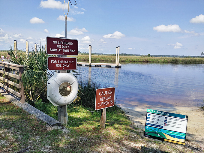 Mother Nature's fine print: swim at your own risk. The river doesn't have lifeguards, just an abundance of character and the occasional curious fish.