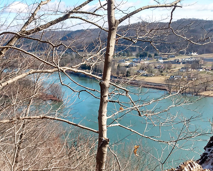 Winter's bare branches frame the turquoise waters like nature's own gallery installation. Even Picasso couldn't capture this particular shade of Ohio blue. 