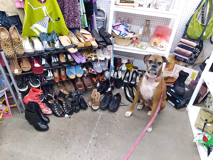 The unofficial shoe department comes with a bonus security guard of the four-legged variety, keeping watch over potential Cinderella moments.