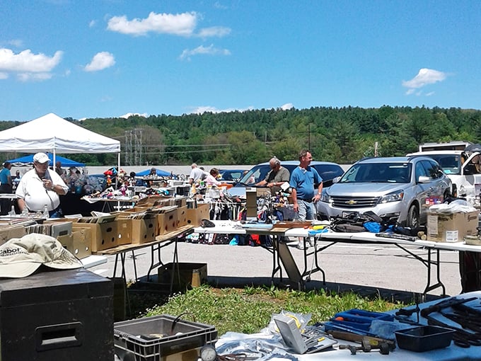 Under clear Massachusetts skies, the market sprawls across the landscape. Veterans know to bring water, comfortable shoes, and plenty of bargaining spirit.