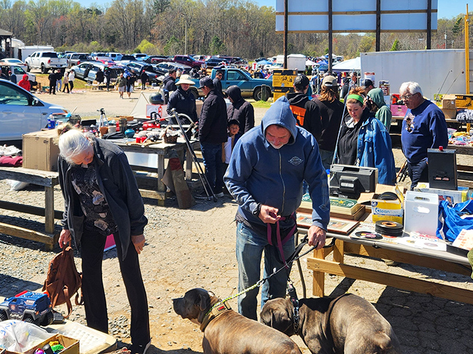 The outdoor section transforms into a community gathering spot where even four-legged friends join the hunt for unexpected treasures.