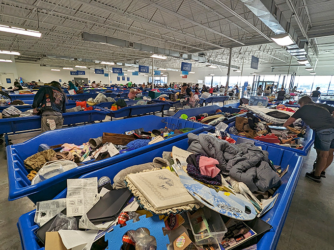 The modern-day gold rush happens in blue plastic bins. Watch as seasoned prospectors pan through the layers with practiced efficiency and unwavering hope.