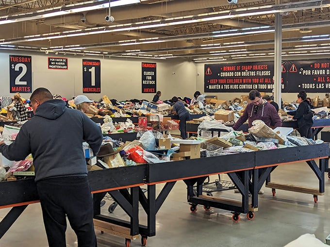 The modern-day gold rush happens indoors, as determined shoppers pan through merchandise bins with the focus of truffle hunters.