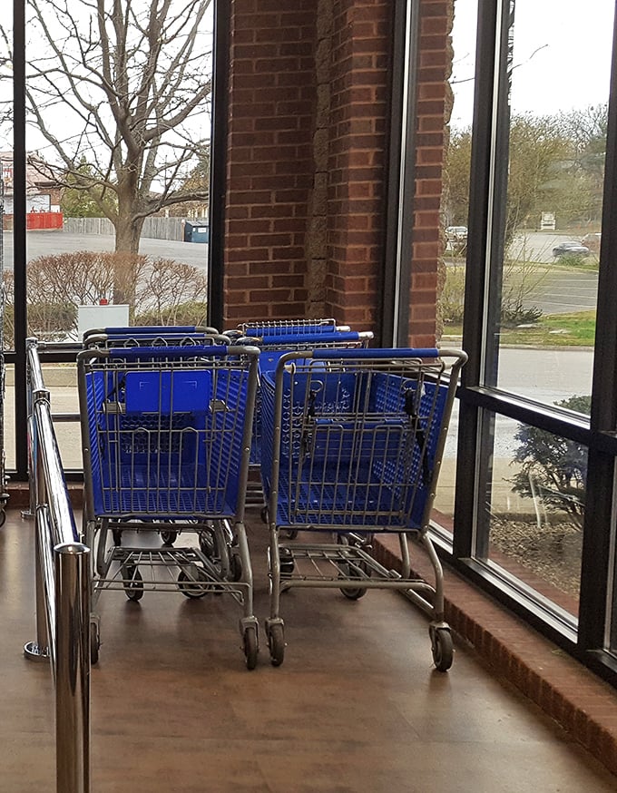 The blue chariots of thrift await their pilots, ready to navigate aisles of possibility at the Taylorsville Road location.
