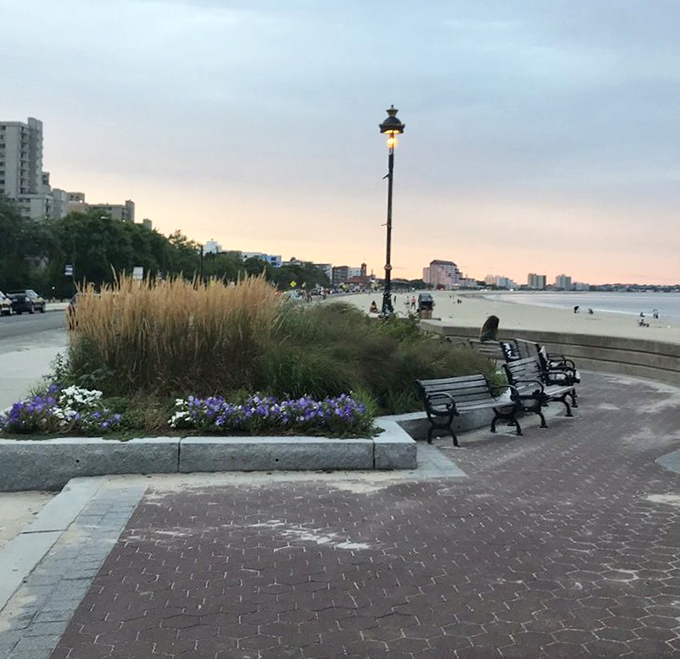 Twilight transforms the promenade into a painting, where benches invite contemplation and ornamental grasses dance in the sea breeze.