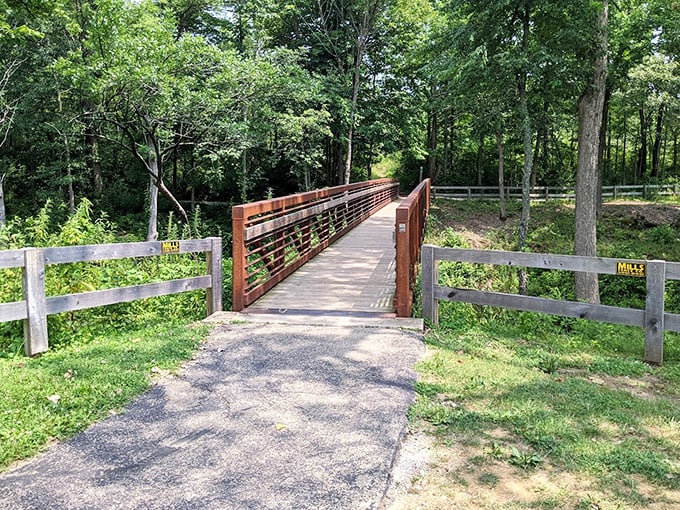 This charming wooden bridge isn't just crossing a stream&mdash;it's connecting you to the part of yourself that remembers how to be wonderstruck.