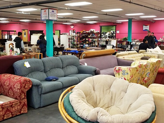 Sofa safari at its finest! That papasan chair is practically begging for someone to curl up with a good book and strong coffee.