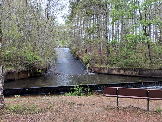 Who needs expensive water parks when Mother Nature creates her own? This peaceful spillway offers a serene soundtrack that no meditation app could ever replicate.