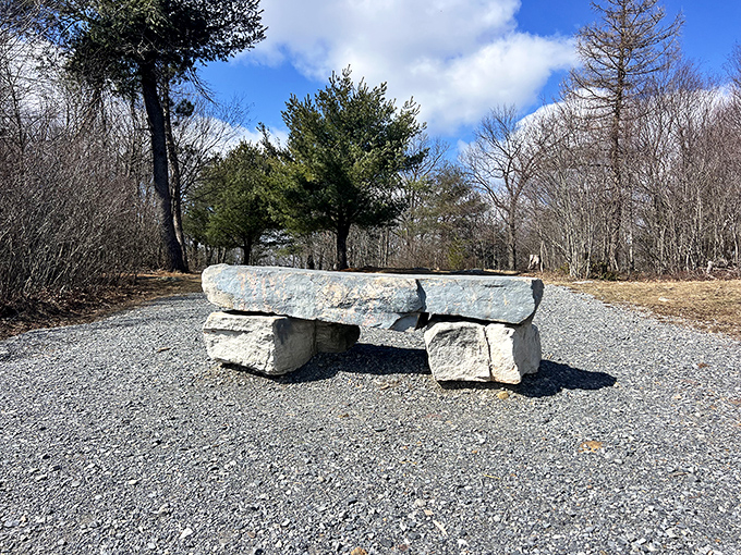 Someone's clearly been arranging stones into benches, creating the world's most scenic waiting room experience.