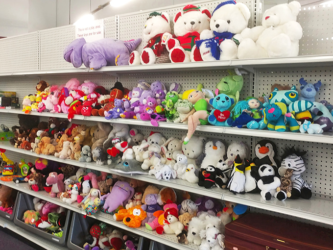 A colorful army of plush companions stands at attention. Someone's future best friend is waiting in this fuzzy lineup.