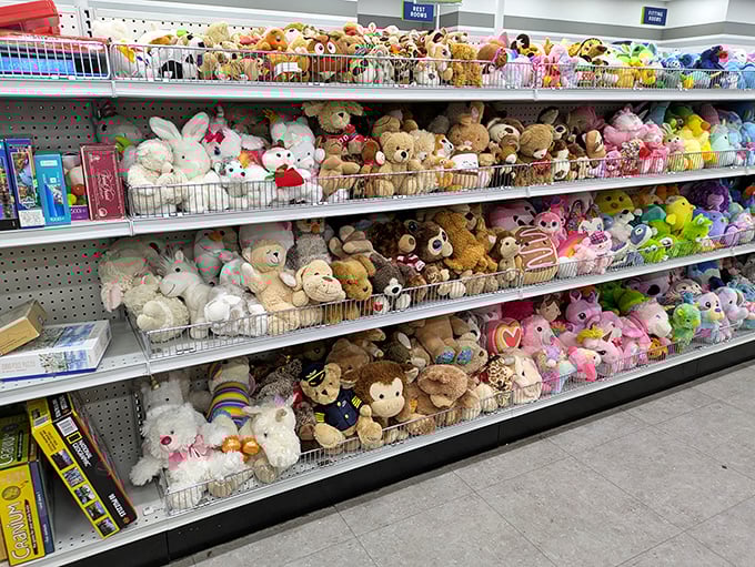 The island of misfit toys, except these cuddly refugees are priced to find loving homes immediately. Stuffed animal adoption center extraordinaire!