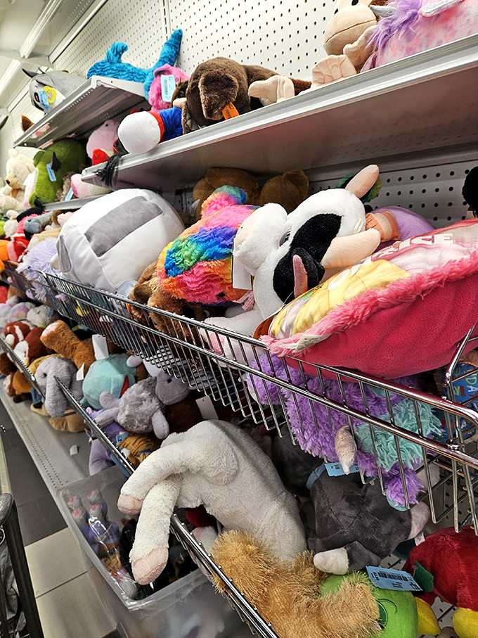 A plush menagerie awaits adoption, each stuffed animal silently promising to be the perfect cuddle companion for someone new.