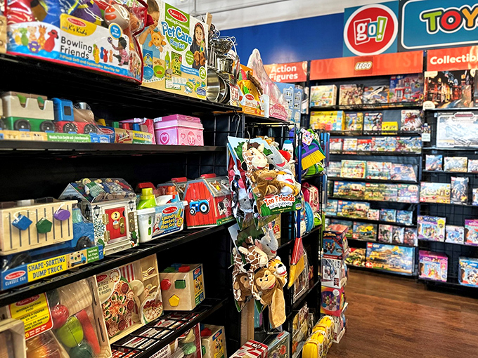 The toy store that makes grandparents heroes and parents' wallets nervous. Childhood joy packaged on every colorful shelf.