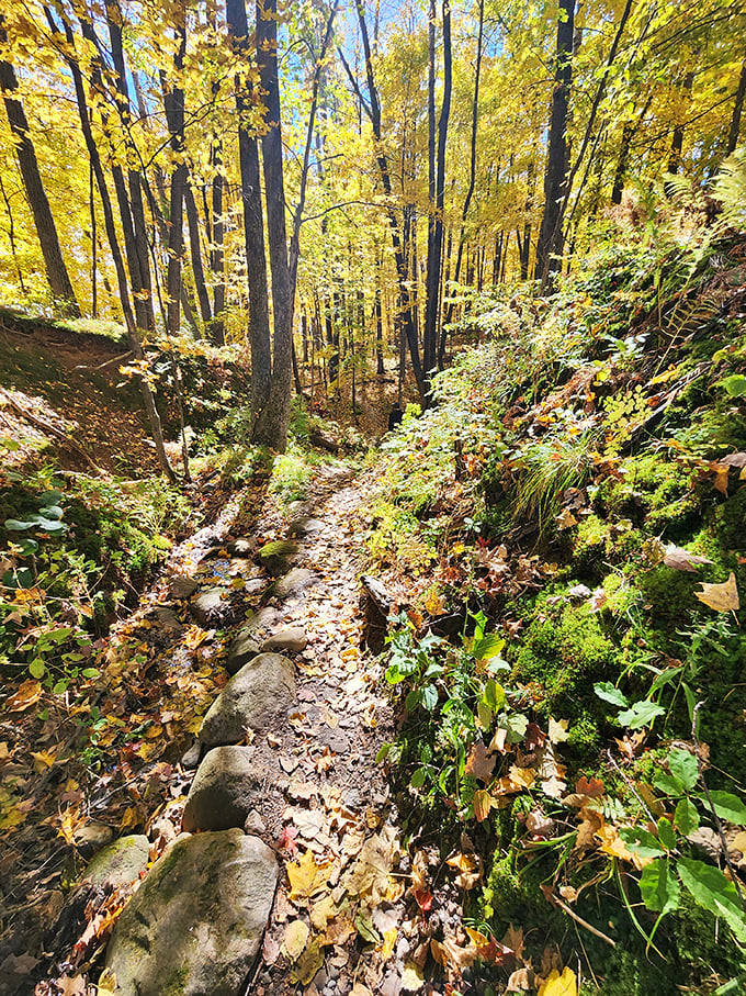 Fall hiking trails at Brunet Island are nature's yellow brick road &ndash; follow them and you might just find your own personal Oz.