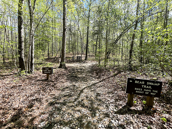 Trail intersections at Medoc Mountain are like life choices&mdash;Bear Swamp or Summit Loop? Either way, you're in for a better day than sitting in traffic.