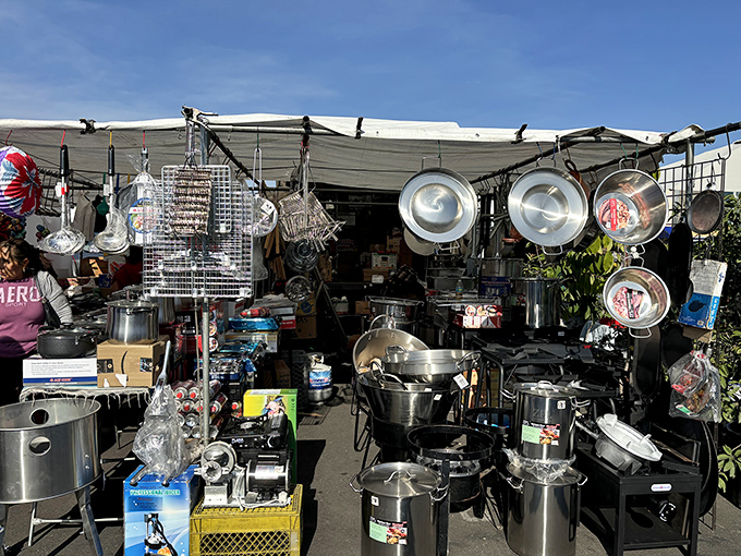 Pots and pans hanging like metallic fruit &ndash; professional chefs and home cooks alike elbow each other for these kitchen treasures.