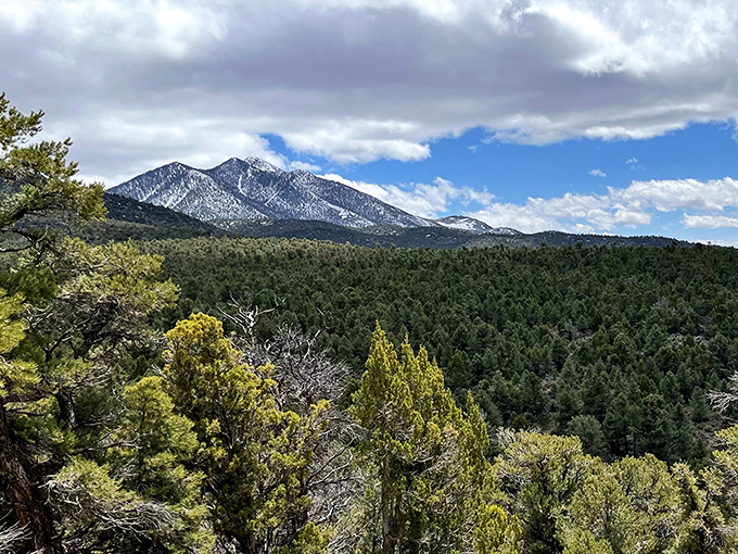 Ward Mountain watches over Ely like a gentle giant, its pine-covered slopes a refreshing reminder that Mother Nature still does the best landscaping work.