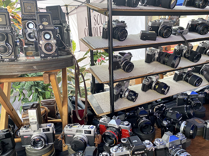 A photographer's dream&mdash;shelves of analog cameras that captured weddings, wars, and everything in between before we all became iPhone documentarians.