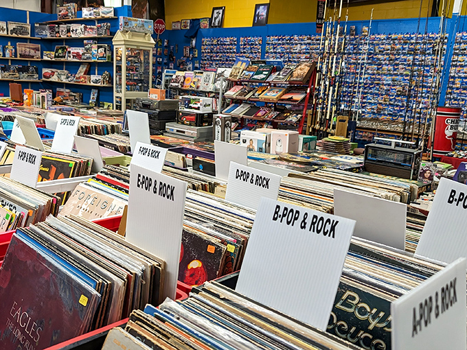 Vinyl paradise for music lovers! Meticulously organized by genre, these record crates invite you to flip through history one album at a time.