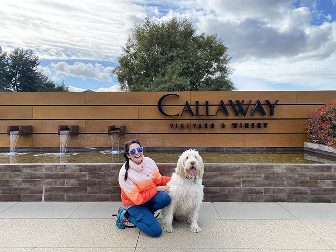 Not all welcome signs feature fountains, but Callaway knows first impressions matter almost as much as that first sip.