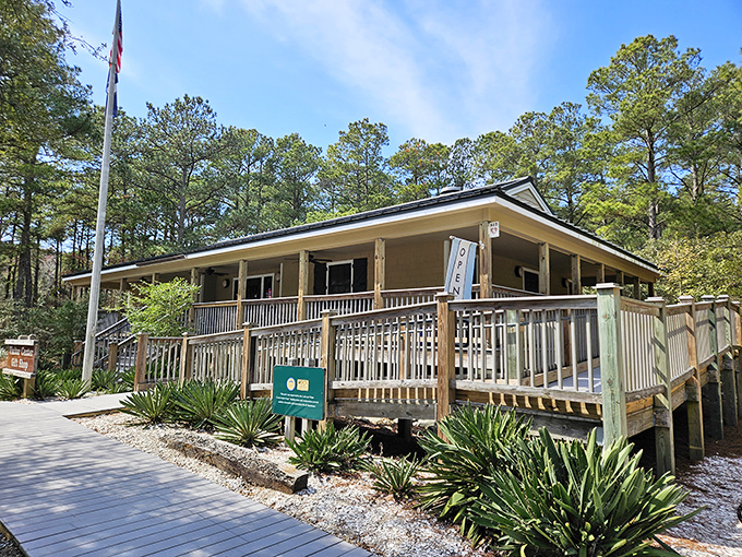 Not all treasures require a map&mdash;some just need a visitor center. This welcoming outpost serves as civilization's last handshake before wilderness takes over.