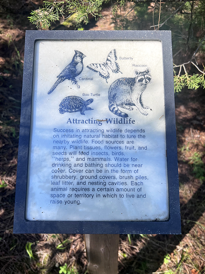 Mother Nature's neighborhood guide &ndash; where cardinals, raccoons, and box turtles are the welcoming committee.