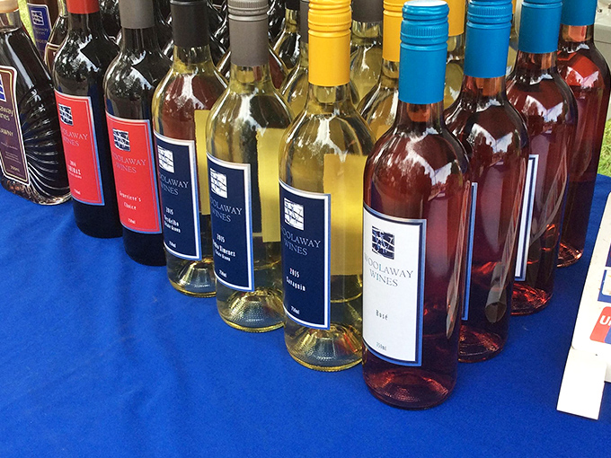 Solaway Wines offers liquid geography—each bottle capturing the essence of New Hampshire's terroir in ruby, amber, and blush hues.