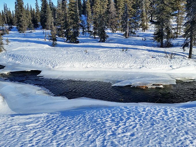Winter's gentle touch transforms rushing waters into a serene painting. Even in the coldest months, Alaska keeps a little blue on its palette.