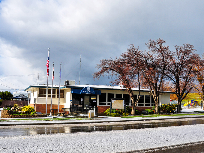 Avenal's city hall represents small-town government where everyone actually knows their mayor's first name and favorite coffee order.