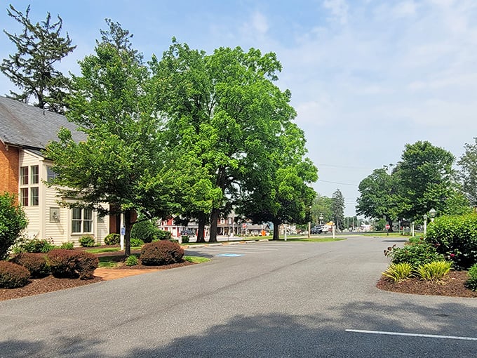 Bird-in-Hand's tree-shaded streets offer a peaceful respite from the hustle and bustle of modern life.