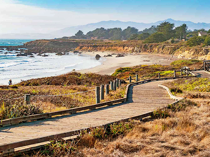 Cambria's coastline beckons with a wooden boardwalk that seems to whisper, "Slow down, the ocean isn't going anywhere."