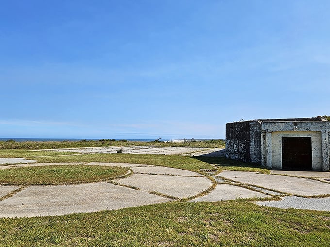 Cape Henlopen's historic military bunker stands as a silent sentinel, with ocean views that once served strategy but now offer pure pleasure. History with a view!