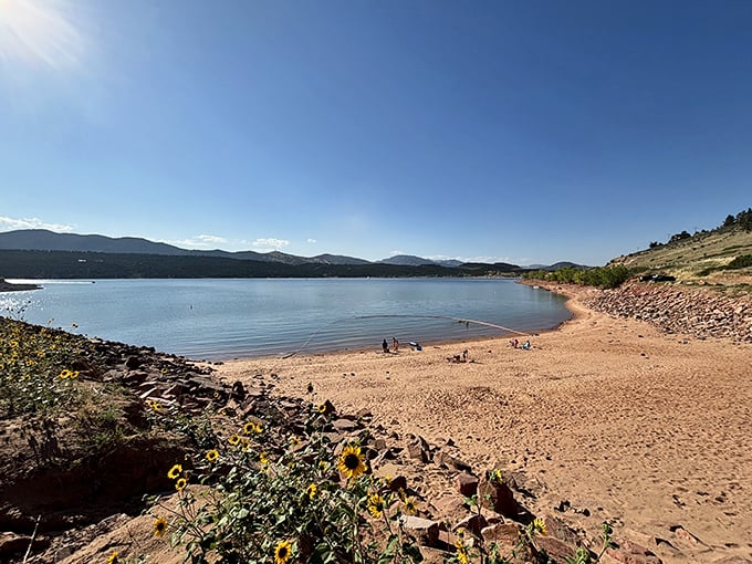 Where mountain views meet shoreline bliss, creating Colorado's version of a perfect beach day without the coastal attitude.