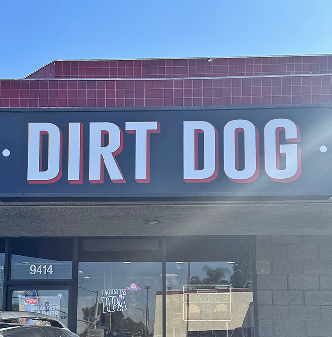 Dirt Dog's bold, modern signage hints at the gourmet street food revolution happening inside.