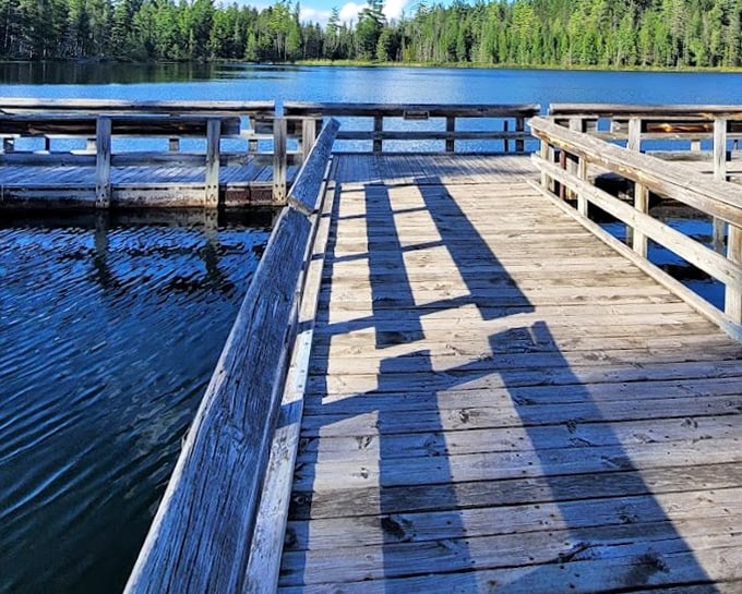 A wooden boardwalk through Hartwick's wetlands. Proof that sometimes the best path is the one already built for you.