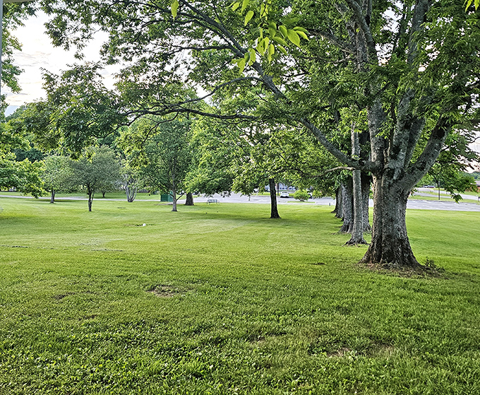 Sprawling green lawns under ancient shade trees create the perfect spot for an afternoon nap disguised as "communing with nature."