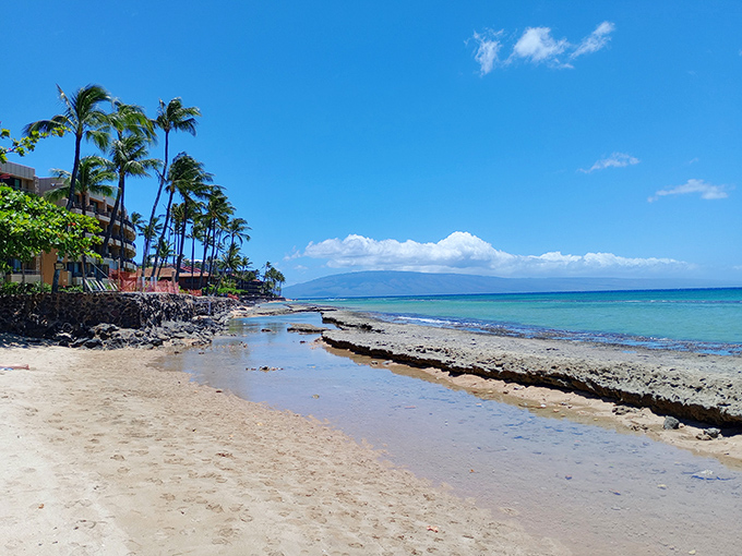 Honokōwai Beach Park offers that perfect balance of accessibility and seclusion. The kind of place where even your beach chair seems to sigh with contentment.