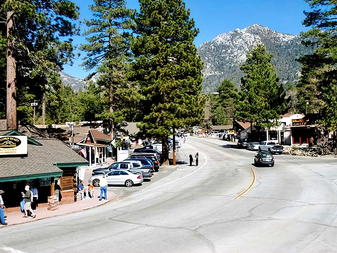 Idyllwild's pine-scented streets offer the perfect backdrop for discovering your inner artist or simply your inner nap enthusiast.