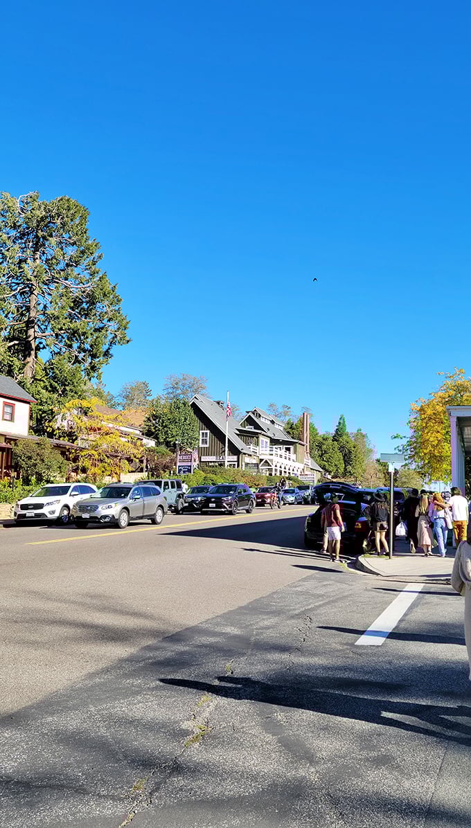 Julian's main street looks like the setting for a Hallmark movie where everyone finds happiness and excellent apple pie.